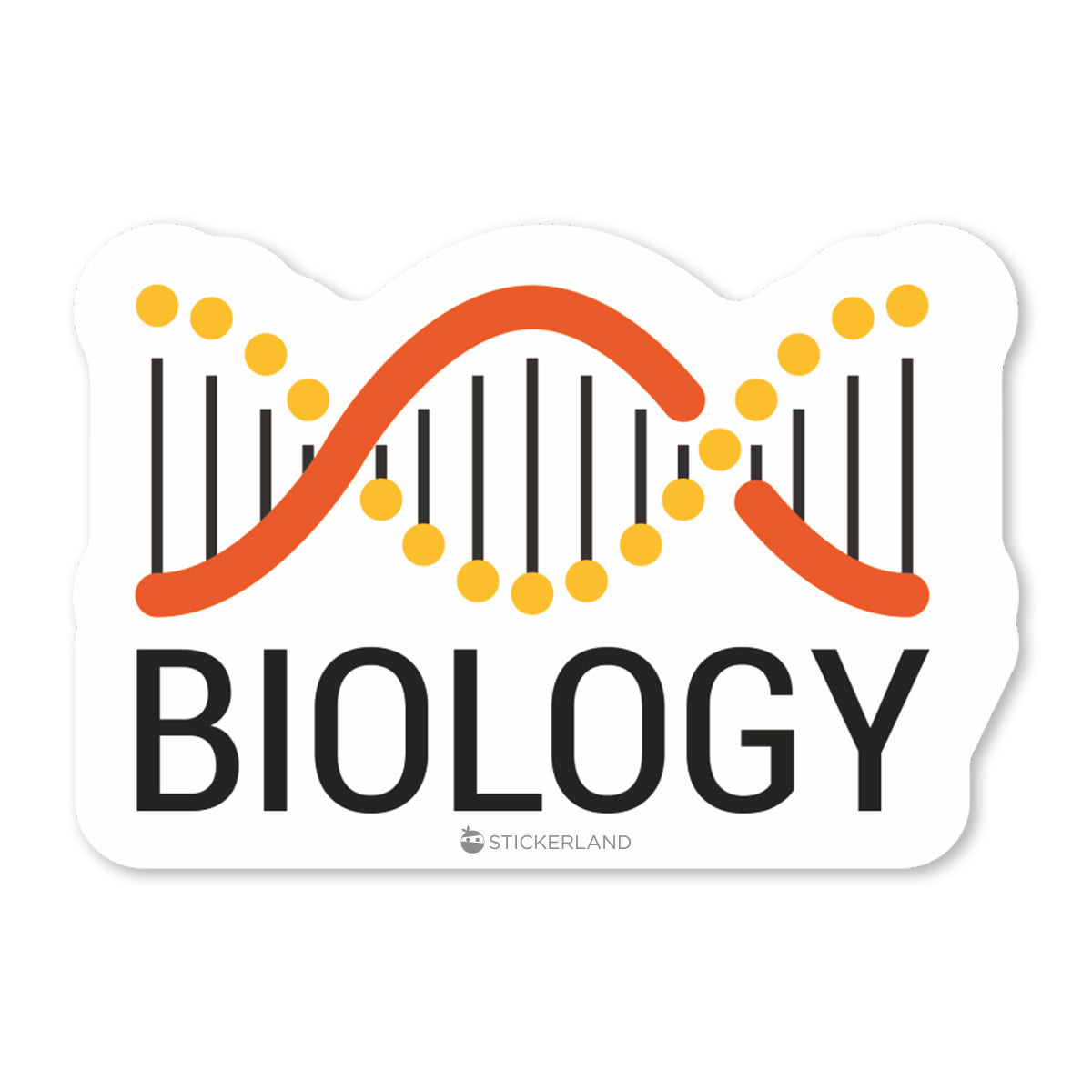 Stickerland India Biology DNA Sticker 6.5x4.5 CM (Pack of 1) – STICKERLAND