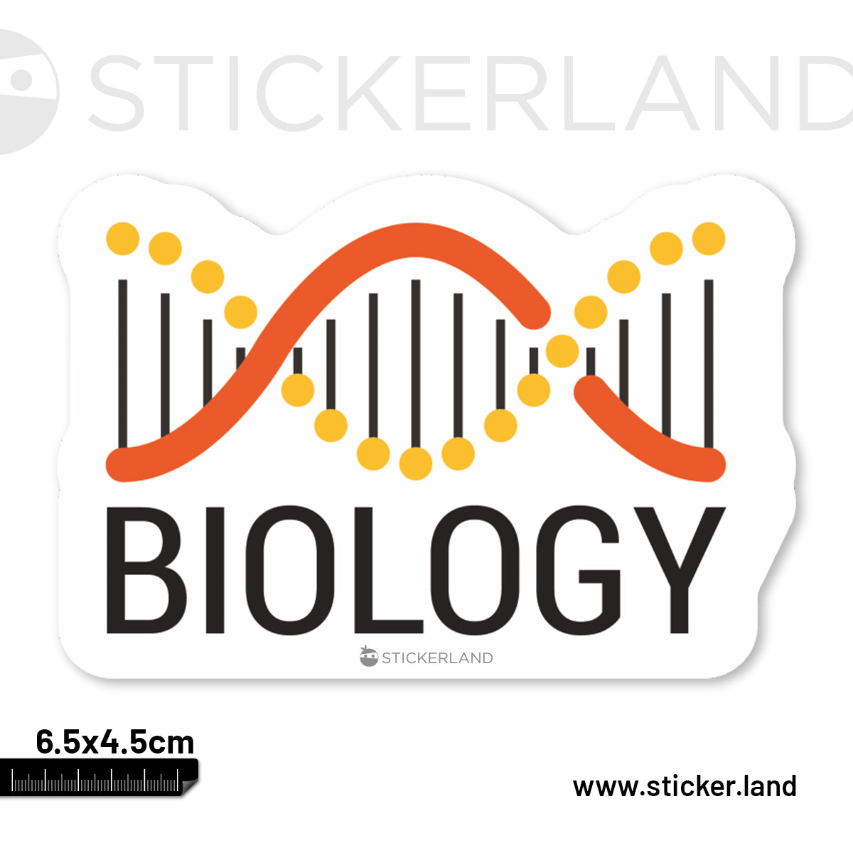 Stickerland India Biology DNA Sticker 6.5x4.5 CM (Pack of 1) – STICKERLAND
